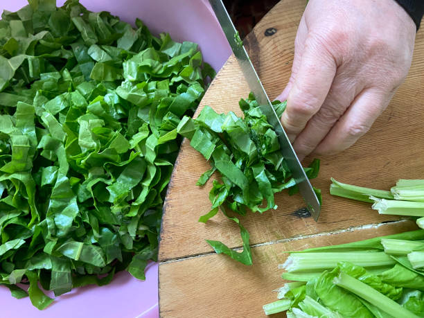 Free Stock Photo of Fresh Cut Healthy Swiss Chard | Download Free ...