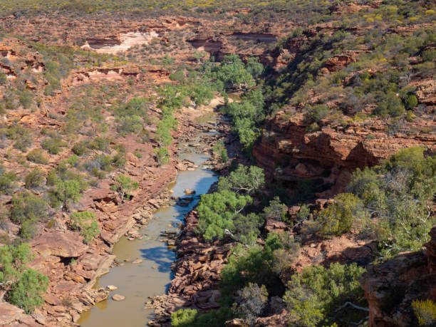 Western Australia Pictures | Download Free Images on Unsplash