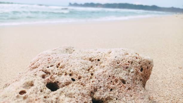 Free Stock Photo of A large rock on the beach | Download Free Images ...