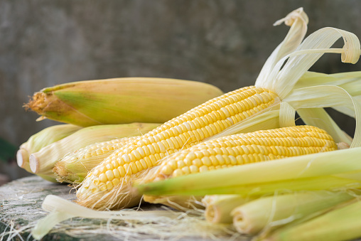 Jagung Manis Kuning Dengan Latar Belakang Kayu Jagung Kuning Jagung ... Jagung Manis Kuning Dengan Latar Belakang Kayu Jagung Kuning Jagung ...