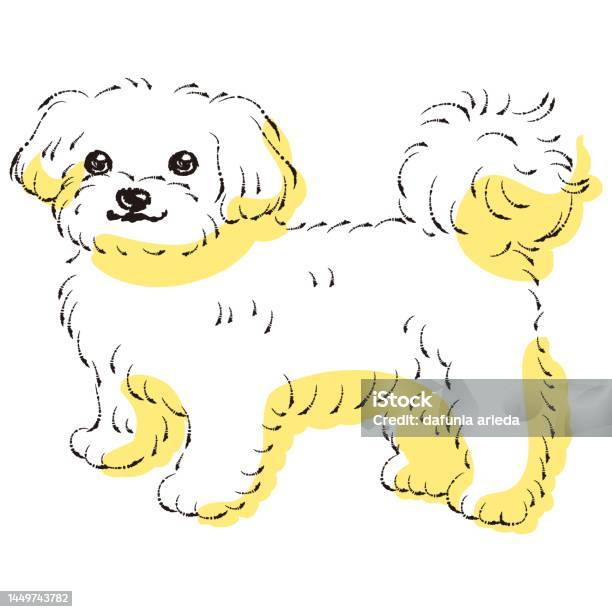 Simple And Cute Maltese Handdrawn Line Drawing Vector Illustration Stock Illustration Download