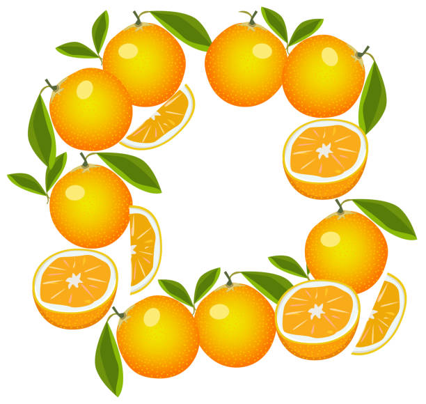 Fruit Clipart