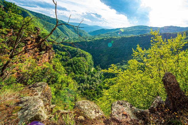 Balkan Pictures | Download Free Images on Unsplash