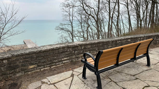 Free Stock Photo of Benches Overlooking Lake in Black and White ...