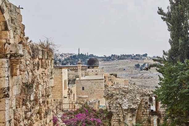 30,000+ Aqsa Pictures | Download Free Images on Unsplash