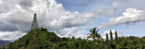 Bulan Pictures | Download Free Images on Unsplash