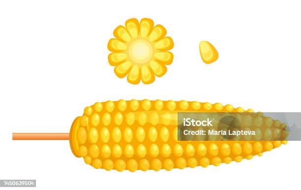 Vektor Jagung Dalam Gaya Kartun Tongkol Jagung Atau Tongkol Jagung ... Vektor Jagung Dalam Gaya Kartun Tongkol Jagung Atau Tongkol Jagung ...