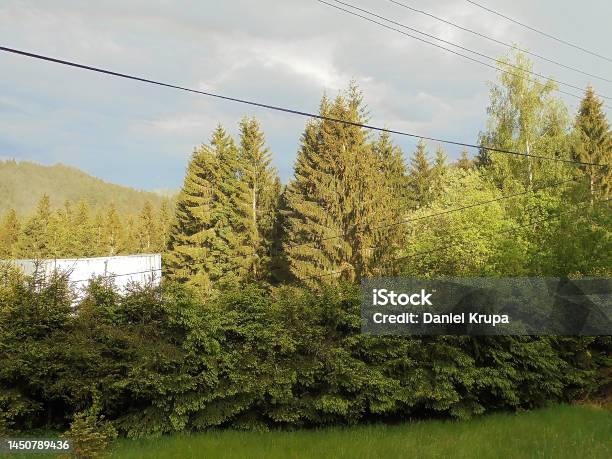 Countryside Nature Scene Roof Visible Among Trees Variable Height Trees ... Countryside Nature Scene Roof Visible Among Trees Variable Height Trees ...