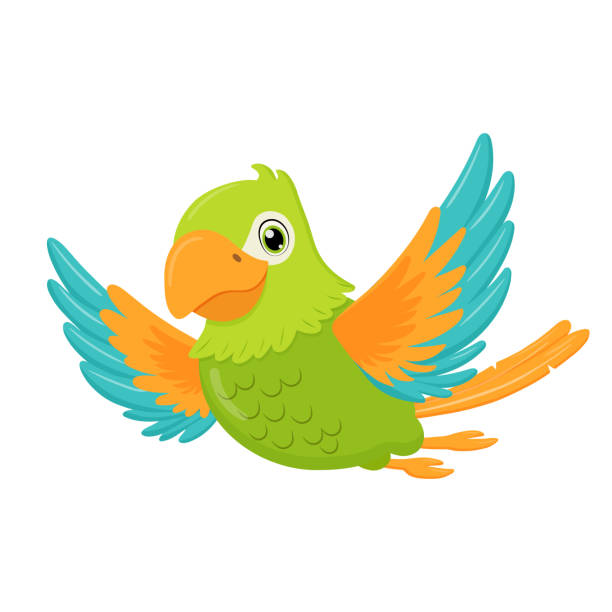 Flying Parrot Clip Art