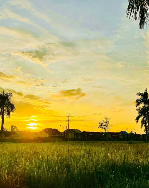 Pontianak Pictures | Download Free Images on Unsplash