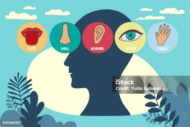 Cinq Icônes De Ligne De Sens Humains Définies Vision Odorat Ouïe