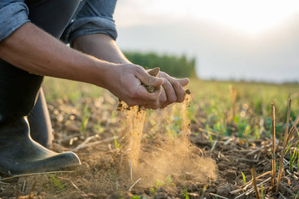 Farm Worker Pictures | Download Free Images on Unsplash