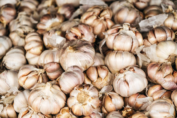 Free picture: organic, garlic, sack, close-up, market, food, nutrition ...