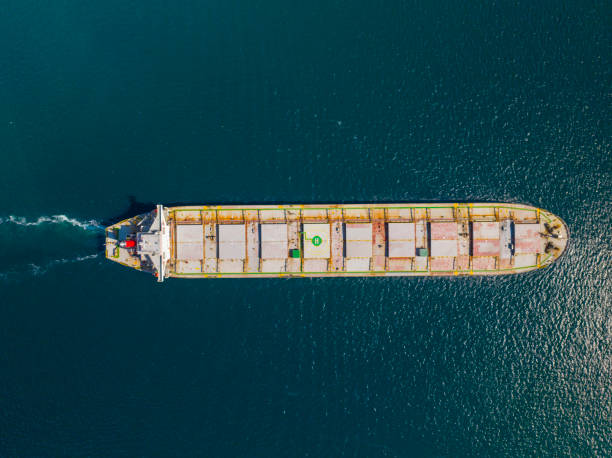 Best 500+ Ship Images [HD] | Download Free Pictures on Unsplash