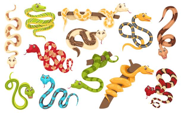 Snake Charmer Clipart Black And White Fish