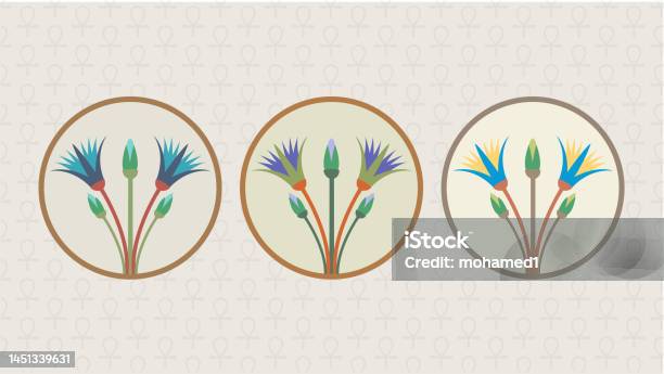 Fleurs De Lotus De Légypte Ancienne Le Symbole Pharaonique Illustration
