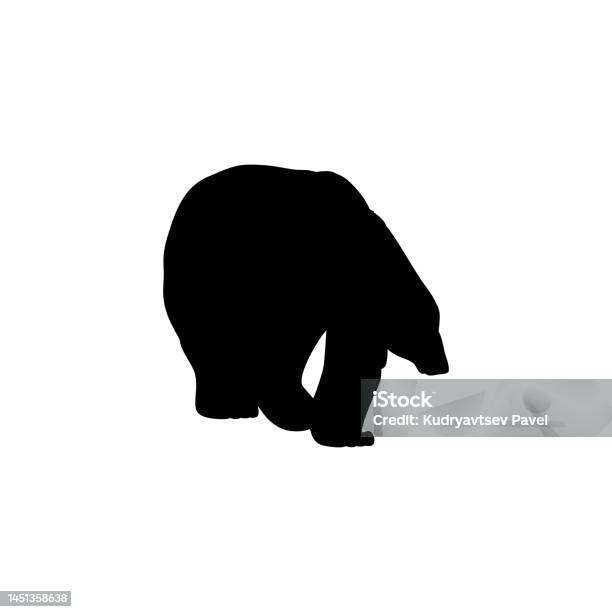 Vetores De Silhueta Preta Do Urso Poderoso Andando Ilustração Vetorial