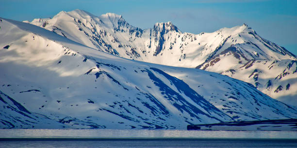 Norway Ecosystem Pictures | Download Free Images on Unsplash