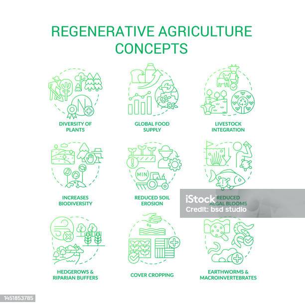 Regenerative Agriculture Green Gradient Concept Icons Set Stock ... Regenerative Agriculture Green Gradient Concept Icons Set Stock ...