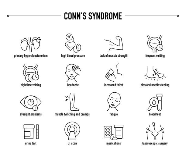 40 Cushings Syndrome Stock Illustrations Royalty Free Vector Graphics