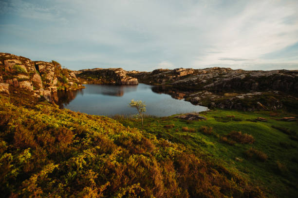 Norway Ecosystem Pictures | Download Free Images on Unsplash