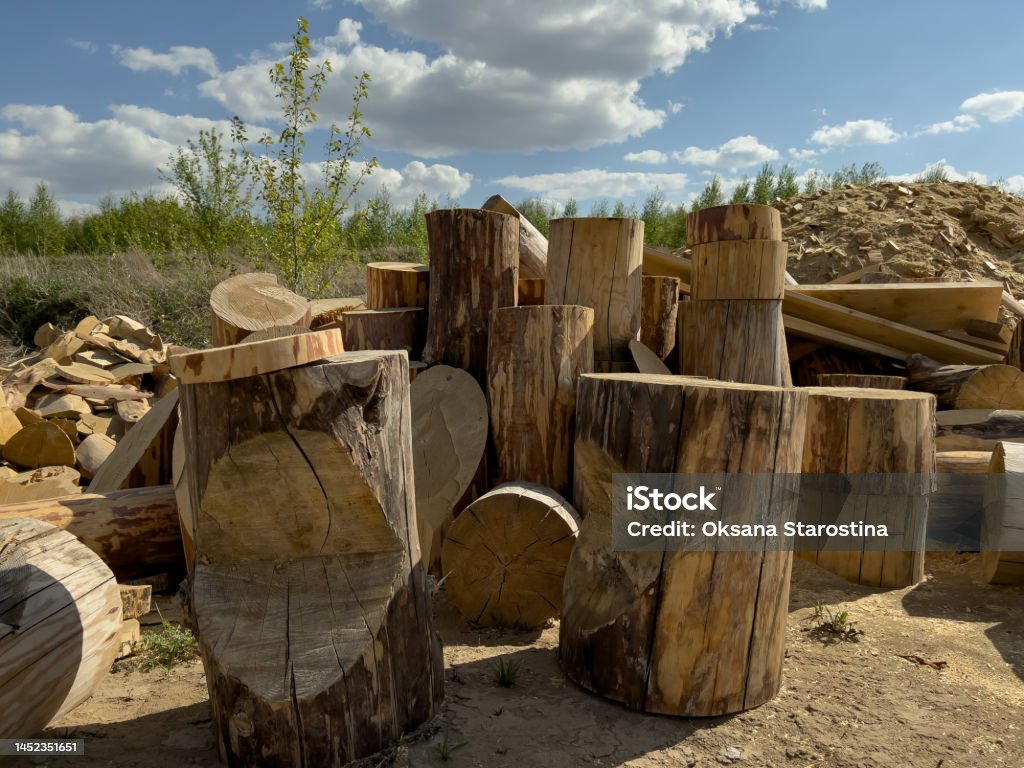 Ein Haufen Holz Zum Verbrennen Im Ofen Brennholz Zum Heizen Ernten ... Ein Haufen Holz Zum Verbrennen Im Ofen Brennholz Zum Heizen Ernten ...
