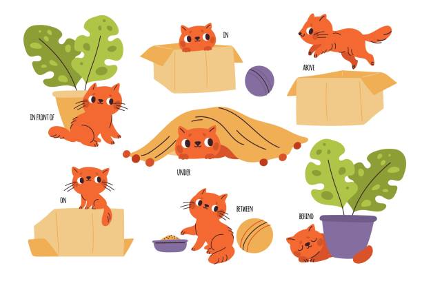 [90] English prepositions Clipart Vector PNG , SVG, EPS, PSD, AI