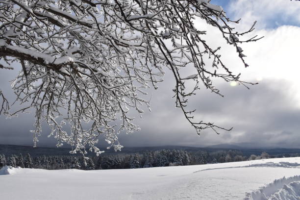Hiver Pictures | Download Free Images on Unsplash