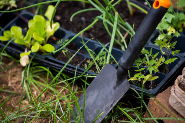 Trowel Pictures | Download Free Images on Unsplash