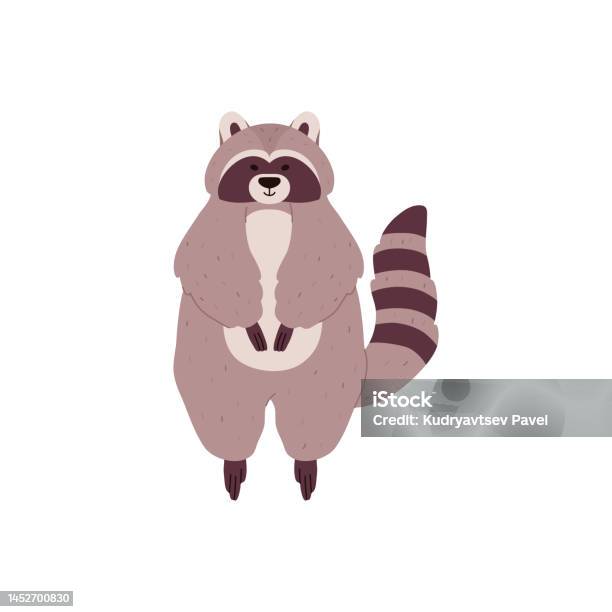 Ilustración De Lindo Mapache De Pie Ilustración Vectorial Plana De