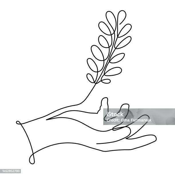 La Main Tient La Branche Avec Des Feuilles Un Dessin Au Trait Un