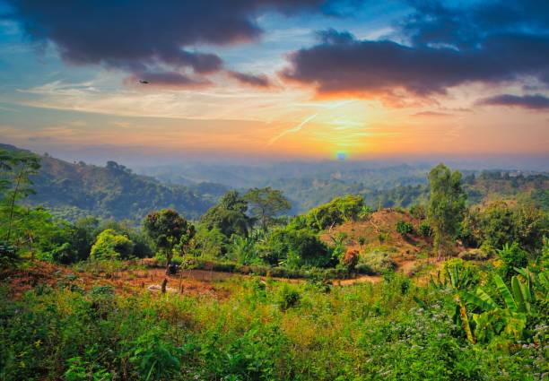 Bandarban Pictures | Download Free Images on Unsplash