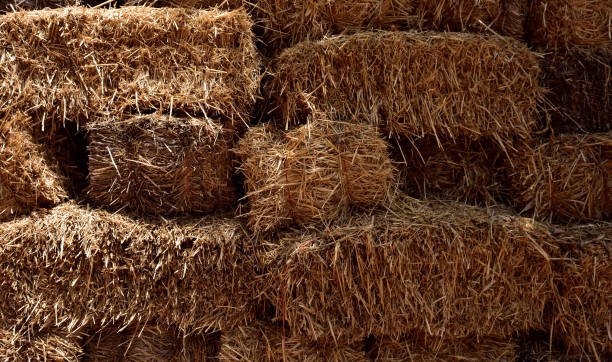 Haystack Pictures | Download Free Images on Unsplash