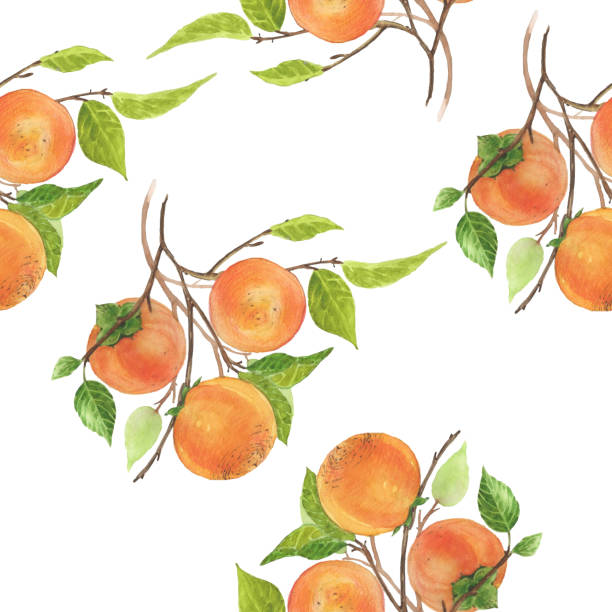 Free clip art "Kaki" by torisan
