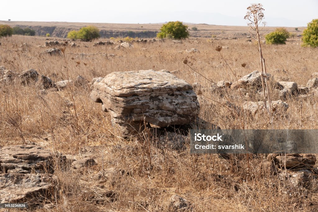 Ancient Burial And Cult Structure Belonging To Category Of Megaliths ... Ancient Burial And Cult Structure Belonging To Category Of Megaliths ...