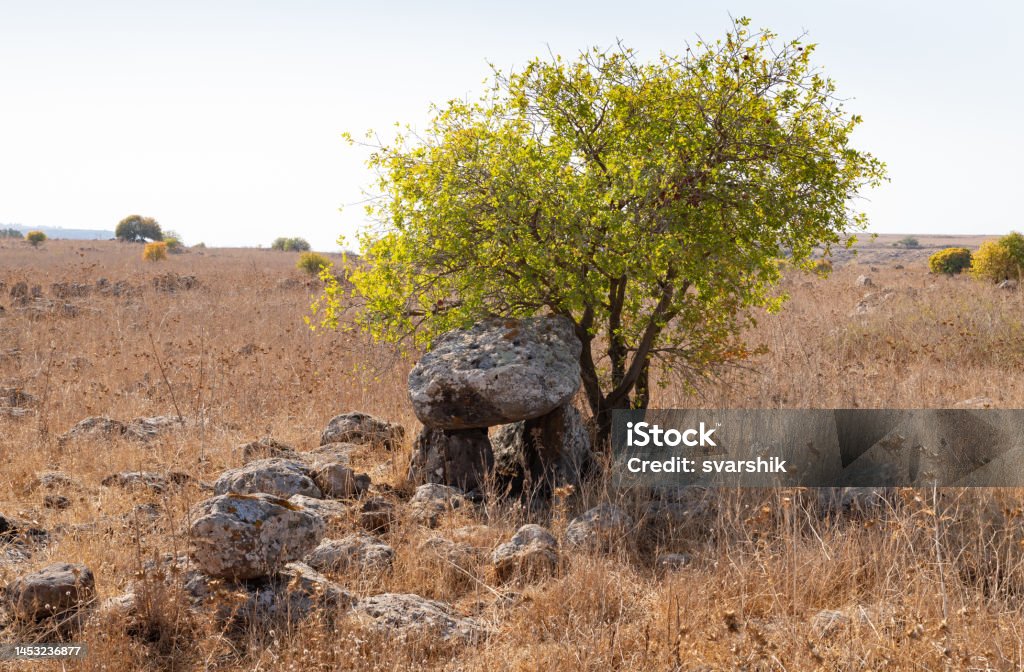 Ancient Burial And Cult Structure Belonging To Category Of Megaliths ... Ancient Burial And Cult Structure Belonging To Category Of Megaliths ...