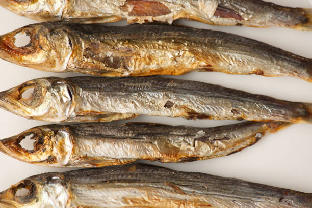 Sardine Pictures | Download Free Images on Unsplash