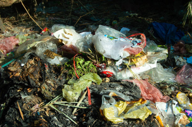 Free picture: bottle, empty, transparent, glass, waste, soil, pollution ...