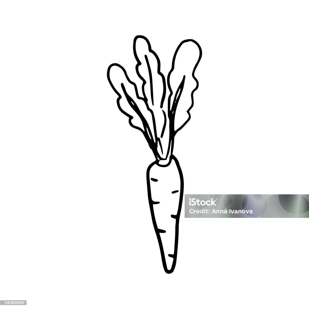 Carrot Icon Vector Illustration On White Background Stock Illustration