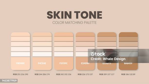 Palet Warna Dalam Koleksi Tema Warna Skin Tone Inspirasi Warna Atau