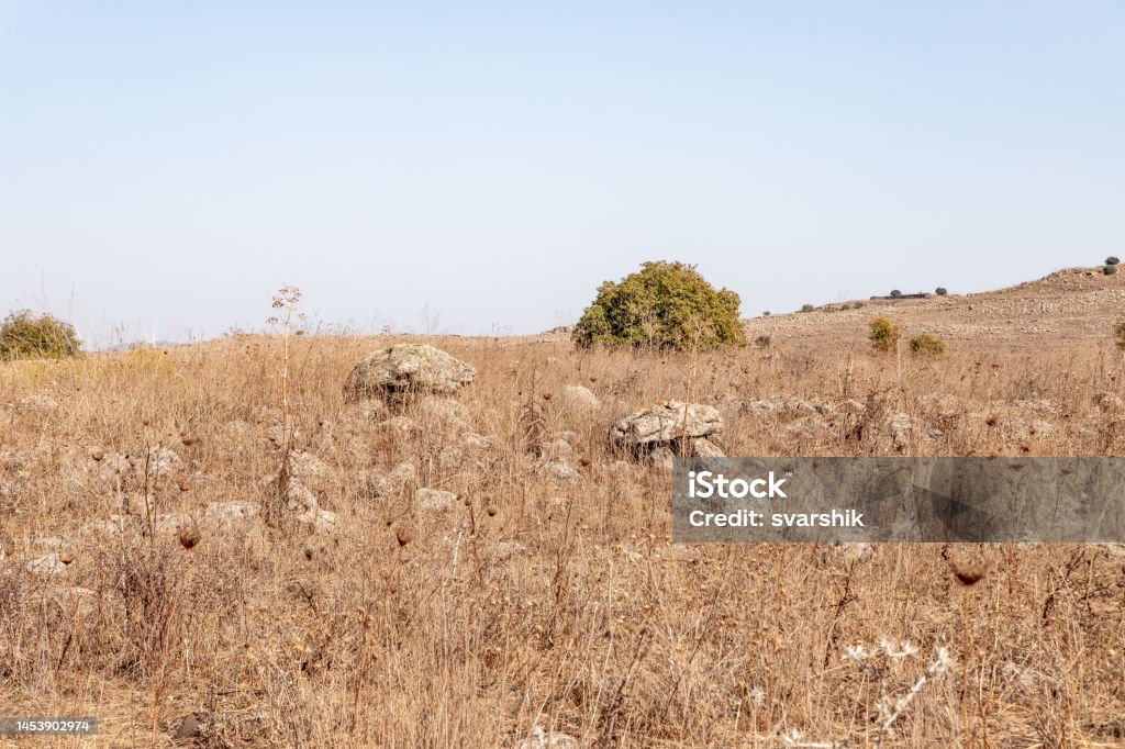 Ancient Burial And Cult Structure Belonging To Category Of Megaliths ... Ancient Burial And Cult Structure Belonging To Category Of Megaliths ...