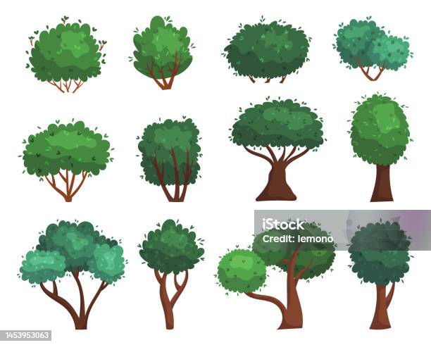 Ensemble Darbres De Dessins Animés Isolés Sur Fond Blanc Plantes Vertes