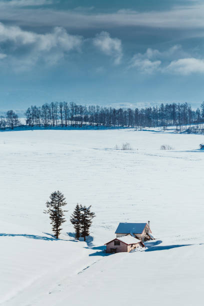 Snowfield Pictures | Download Free Images on Unsplash