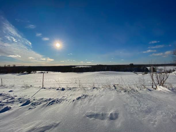 Winter Sun Pictures | Download Free Images on Unsplash