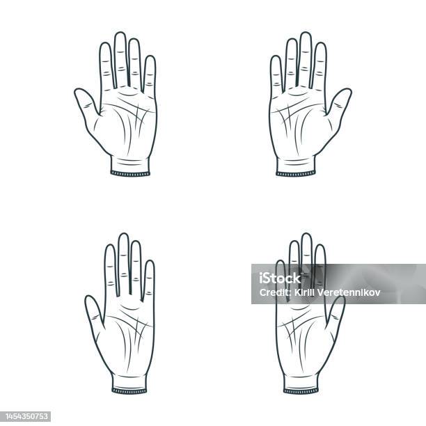 Set Empat Tangan Seni Ramal Tapak Tangan Ilustrasi Vektor Yang Digambar ... Set Empat Tangan Seni Ramal Tapak Tangan Ilustrasi Vektor Yang Digambar ...