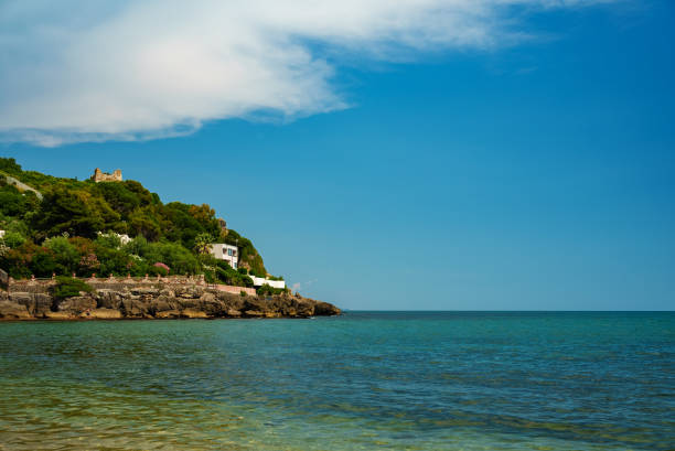 Spiaggia Pictures | Download Free Images on Unsplash