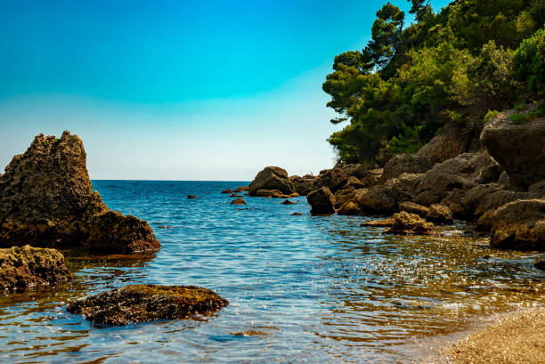 Spiaggia Pictures | Download Free Images on Unsplash