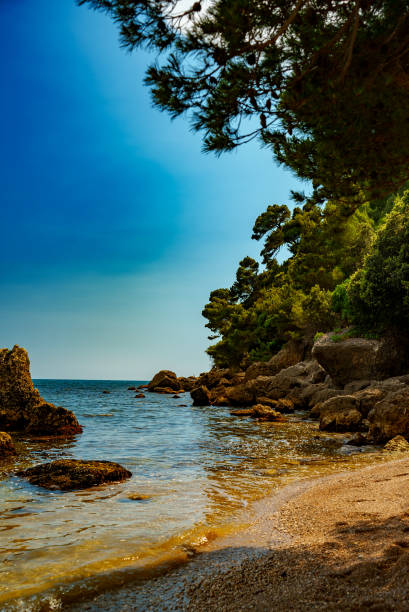 Spiaggia Pictures | Download Free Images on Unsplash
