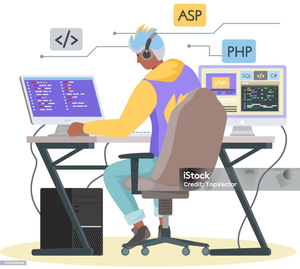 Programmer Engineering And Coding Programmer Working On Web Development