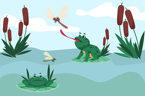 Pose Katak Kodok Hijau Kartun Duduk Di Atas Daun Teratai Air Amfibi